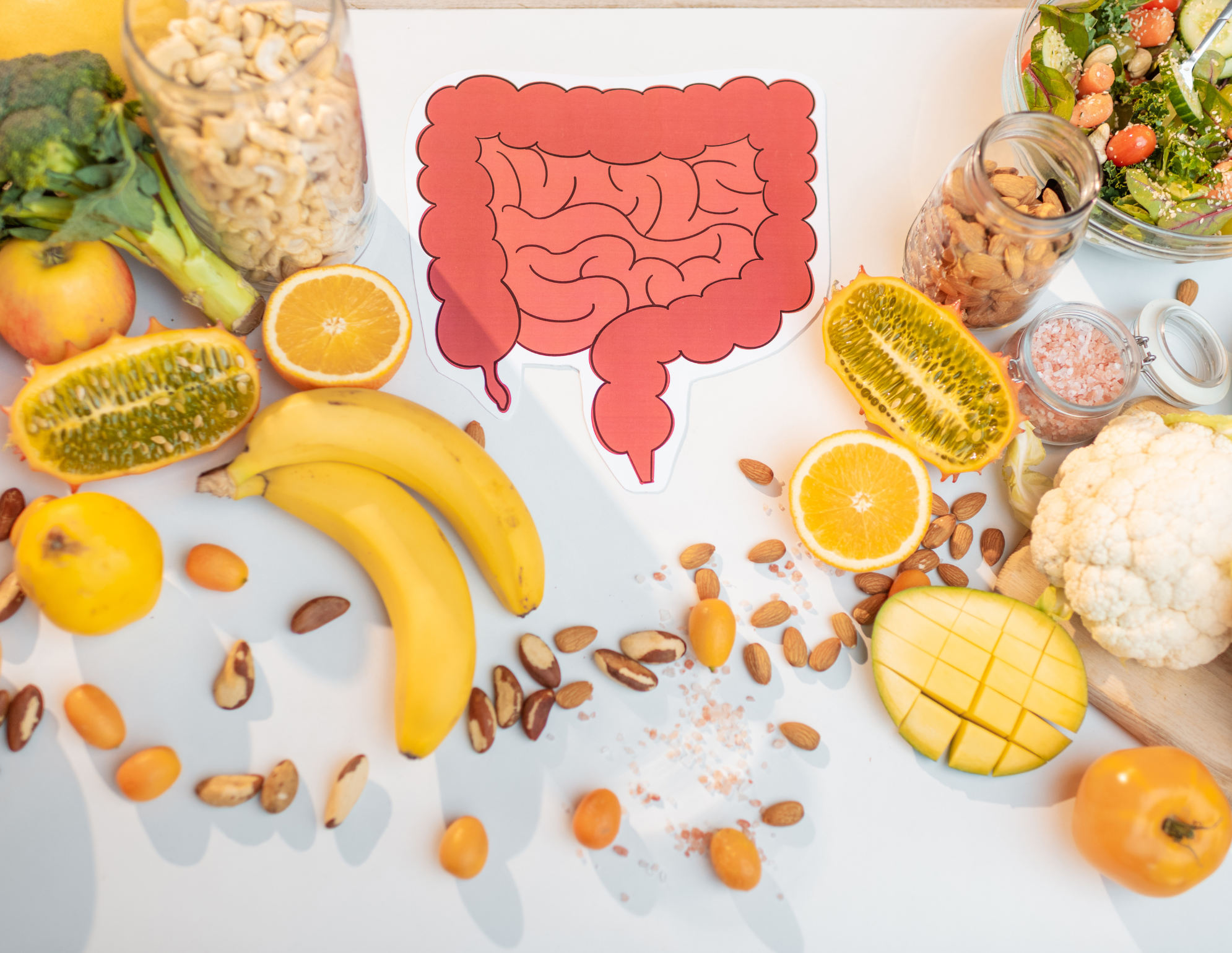 Digestive Health - Dr. Cheryl Winter